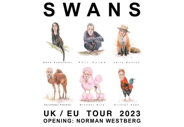 SWANS