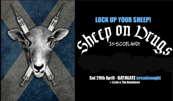 Sheep on Drugs & Lizzie and The Banshees