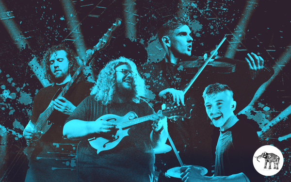 Elephant Sessions