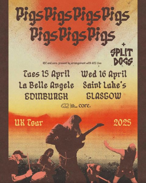 Pigs Pigs Pigs Pigs Pigs Pigs Pigs